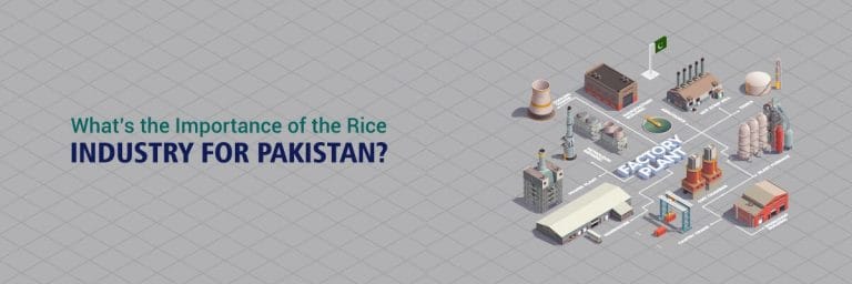 What is the Importance of the Rice Industry for Pakistan? - Al Karam ...