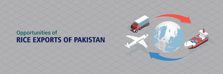 Opportunities of Rice Exports of Pakistan - Al Karam Rice Engineering